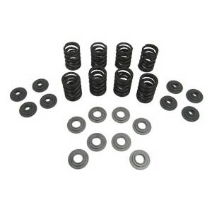SCHRICK HD VALVE SPRING CONVERSION KIT W/ AUTOTECH TITANIUM RETAINERS 2 ...
