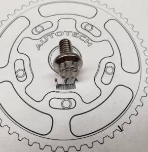 Volkswagen Timing Gear Bolt
